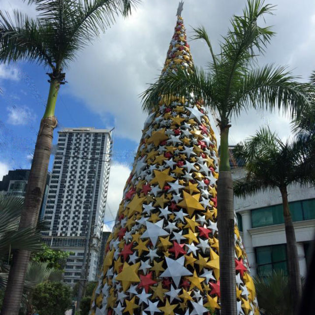 Giant Christmas Trees | Live Life and Love