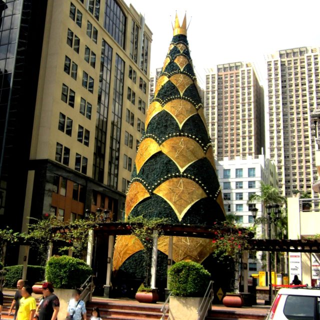 Giant Christmas Trees | Live Life and Love