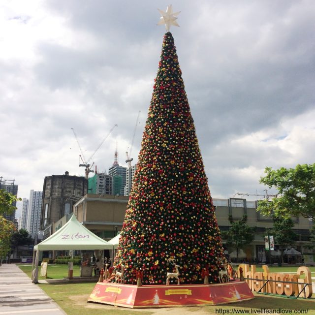 Giant Christmas Trees | Live Life and Love