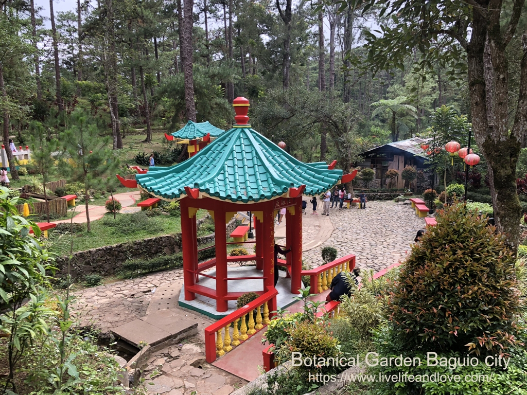 Botanical Garden, Baguio city | Live Life and Love Botanical Garden, Baguio city | Live Life and Love