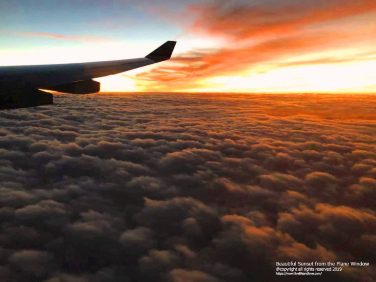 Viewing the Sunset Through an Airplane Window | Live Life and Love