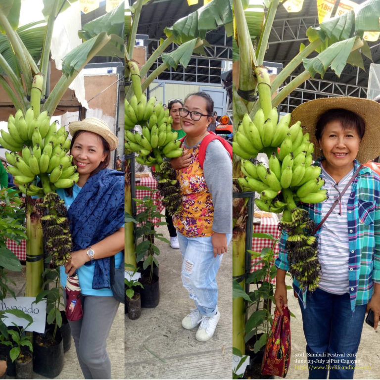 30th Sambali Festival 2019 | Live Life and Love