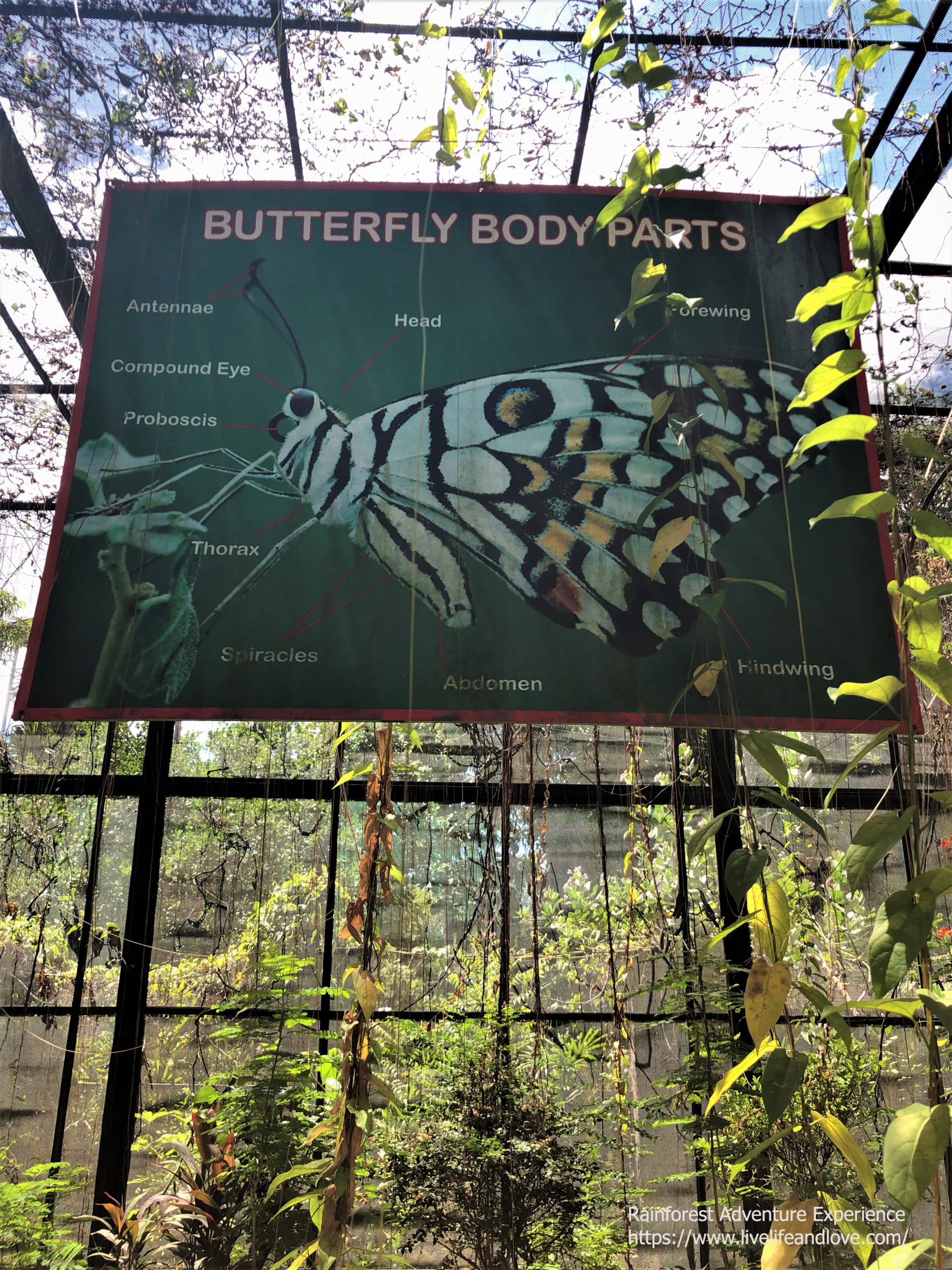 RAVE Pasig Rainforest Park | Live Life and Love