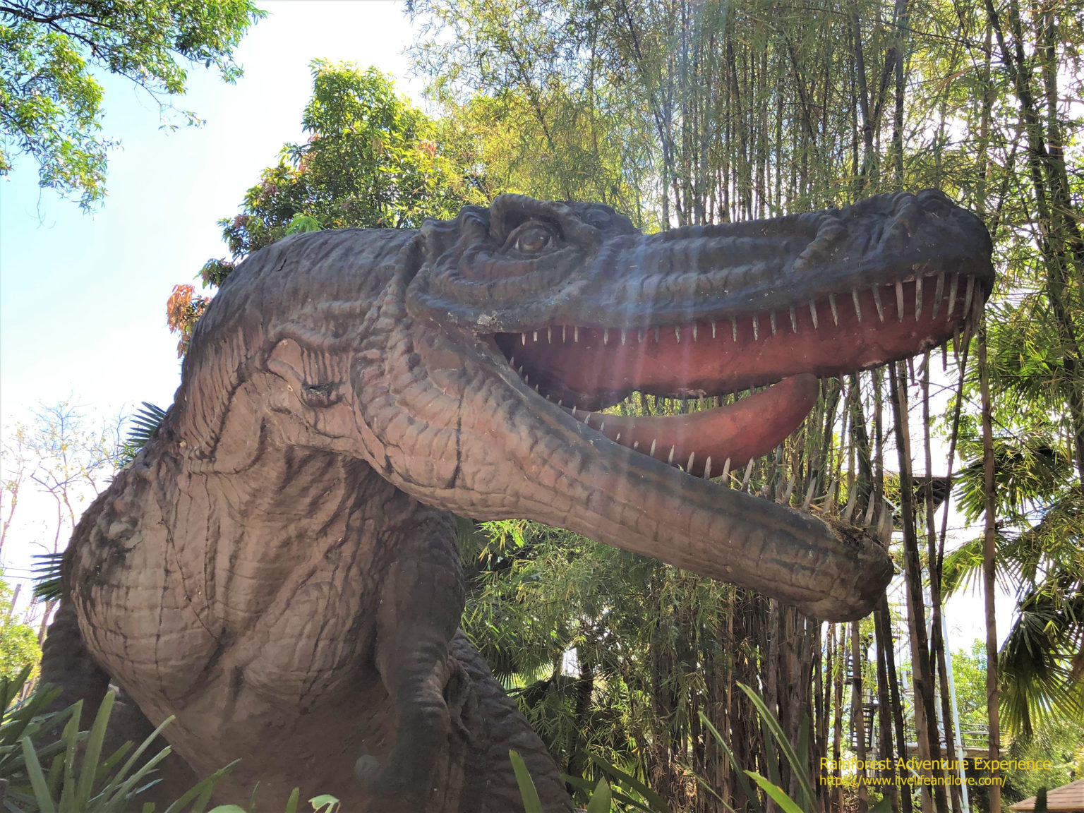 RAVE Pasig Rainforest Park | Live Life and Love