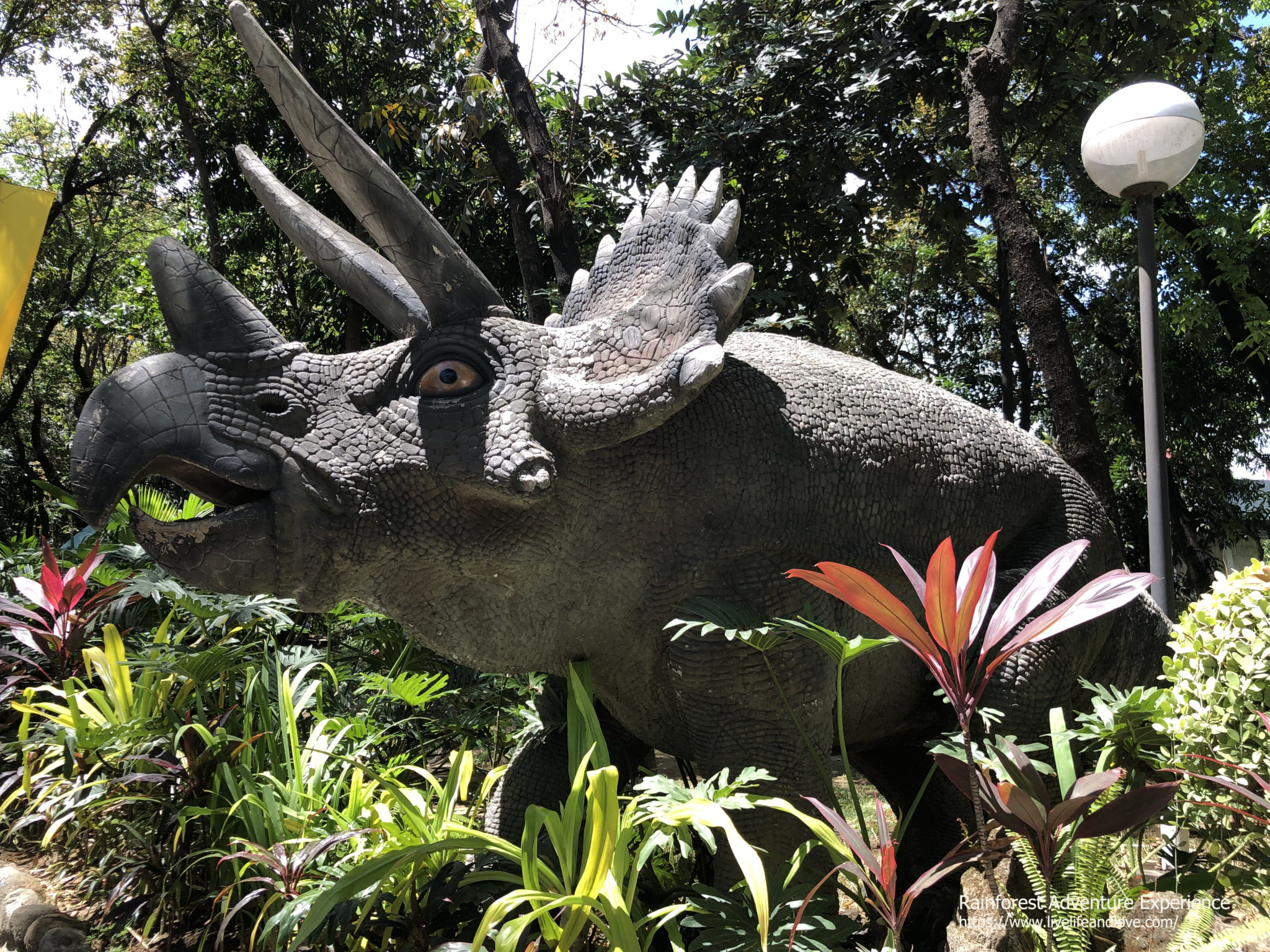 RAVE Pasig Rainforest Park | Live Life and Love