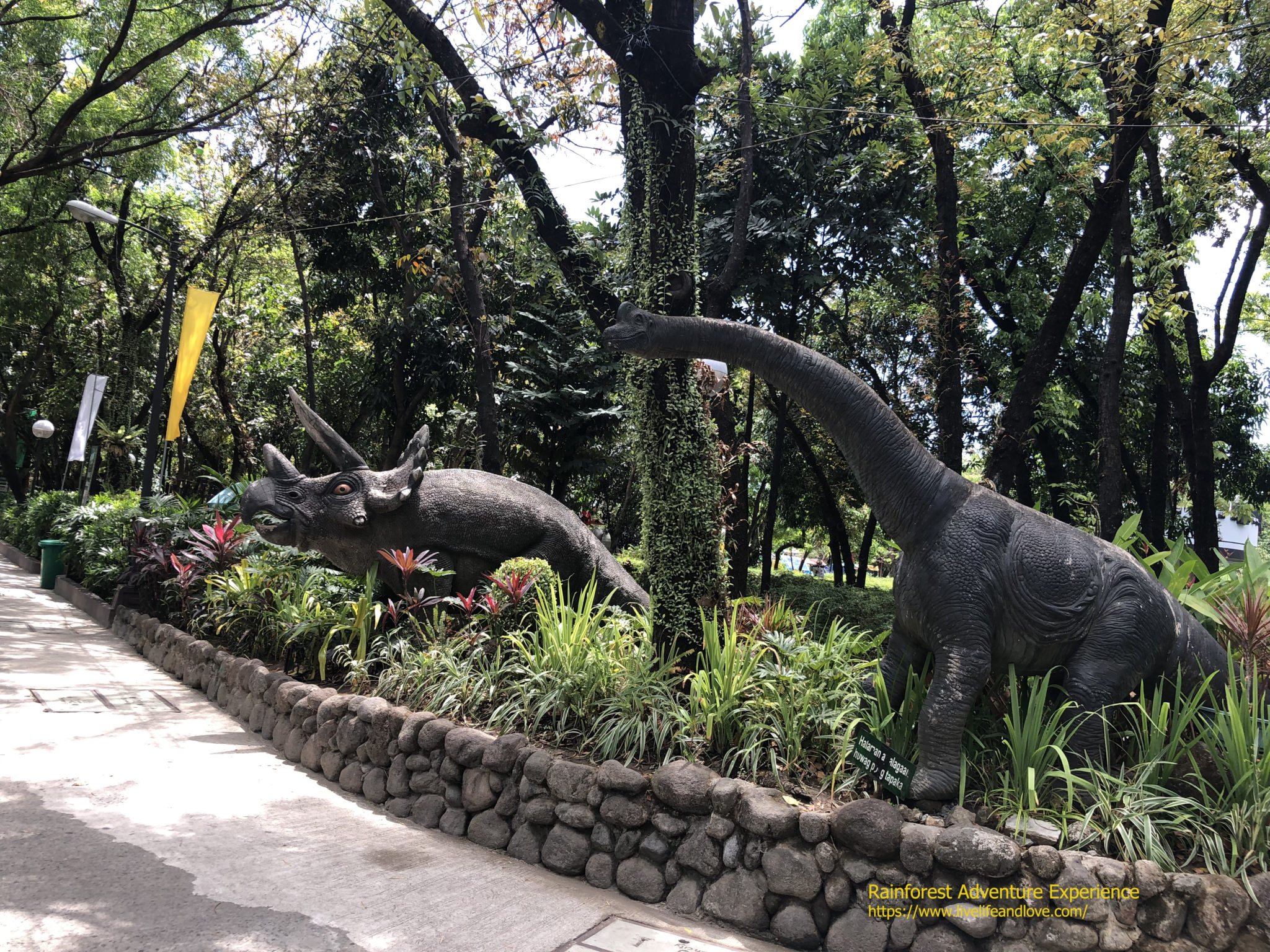 RAVE Pasig Rainforest Park | Live Life and Love